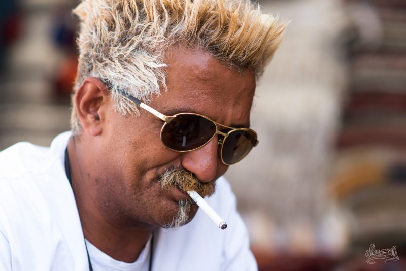 Iran - Shiraz : poetry, fortress and prophets - Shoesyourpath