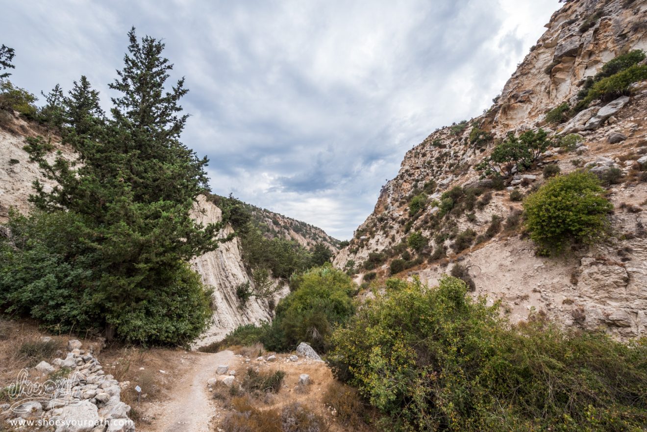 Cyprus - Hiking in the Avakas Gorge - Shoesyourpath